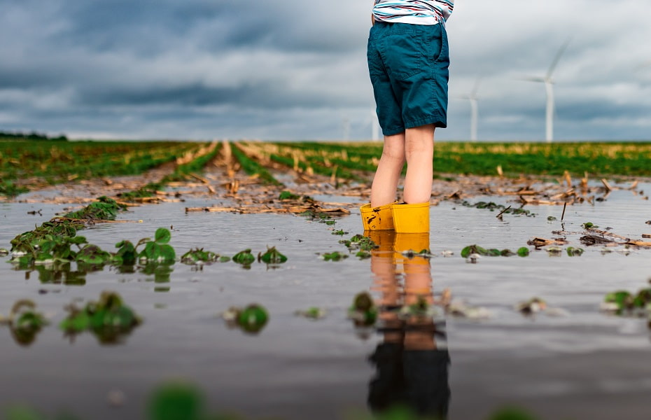 Nationale-Nederlanden en Klimaatverandering : NN